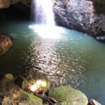Brisbane: Springbrook and Mt Tamborine Glow Worm and Skywalk - The Itinerary in Detail