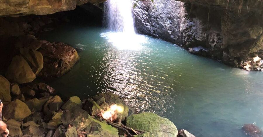 Brisbane: Springbrook and Mt Tamborine Glow Worm and Skywalk - The Itinerary in Detail