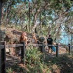 Brisbane: Sunshine Coast Hinterland & Noosa Small Group Tour - What Makes This Tour Stand Out?