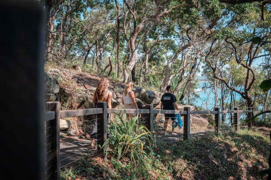 Brisbane: Sunshine Coast Hinterland & Noosa Small Group Tour - What Makes This Tour Stand Out?