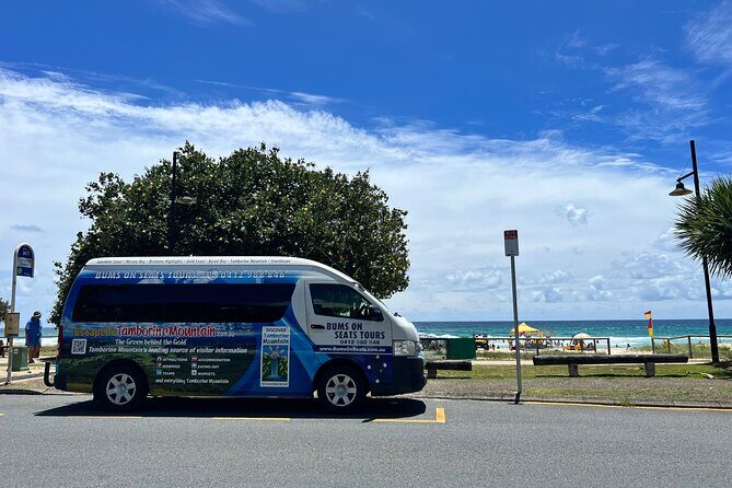 Brisbane To Brisbane Airport or Cruise Transfers - Who Will Benefit Most?