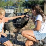 Brisbane: Trevena Glen Farm 1hr Animal Experience - What to Expect at Trevena Glen Farm