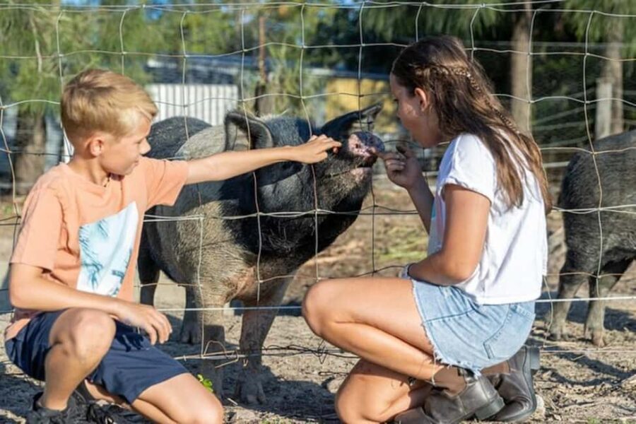 Brisbane: Trevena Glen Farm 1hr Animal Experience - What to Expect at Trevena Glen Farm