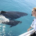 Brisbane: Whale Watching Cruise with Lunch - What You Can Expect on This Whale Watching Cruise