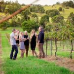 Brisbane: Wine & Dine In The Vines - The Lakeside Four-Course Degustation Lunch