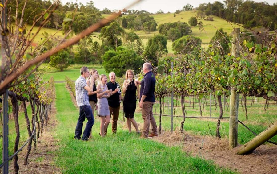 Brisbane: Wine & Dine In The Vines - The Lakeside Four-Course Degustation Lunch