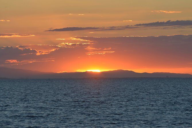 Brisbane's Photography Course For Beginners - What You Can Expect During the Tour