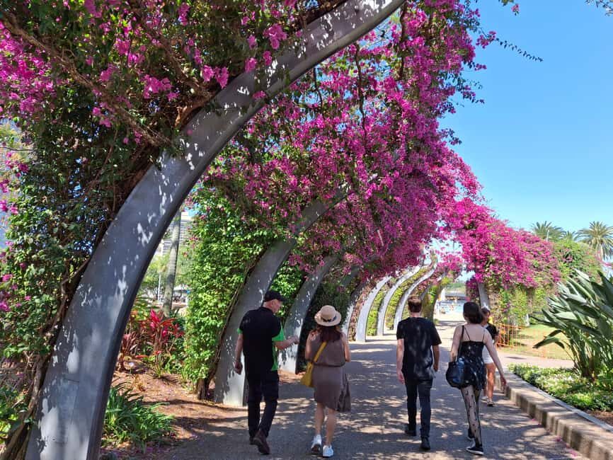 Brisbane's Popular Sights in Half Day VIP Private Tour - What the Tour Includes