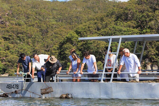 Broken Bay Pearl & Oyster Farm Tours - The Practicalities: What to Expect