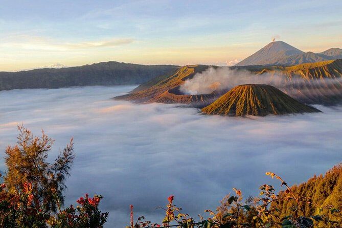 Bromo Sunrise Tour 2 Days 1 Private Tour - Authentic Experiences and Real Feedback