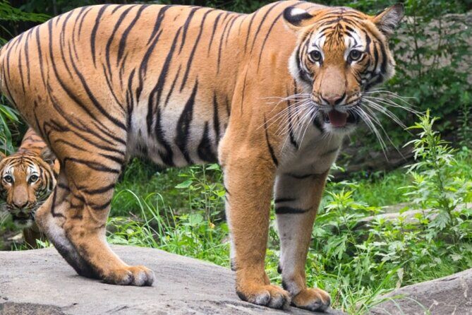 Bronx Zoo Admission Ticket - FAQ