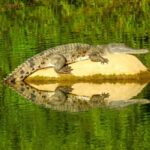 Broome to Darwin: 10 Day Kimberley Tour - The Value of This Tour