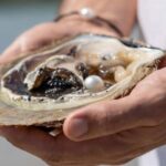 Broome: Treasures of Broome Pearlers Choice Tour - Why This Tour Fits Different Types of Travelers