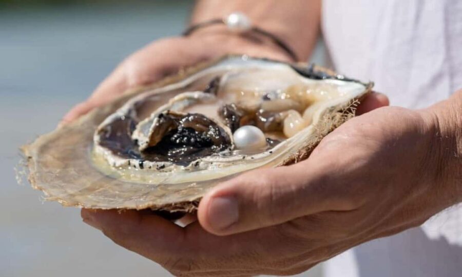 Broome: Treasures of Broome Pearlers Choice Tour - Why This Tour Fits Different Types of Travelers
