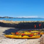 Browns Island Motukorea Sea Kayak Tour - Why Choose Browns Island Sea Kayak Tour?