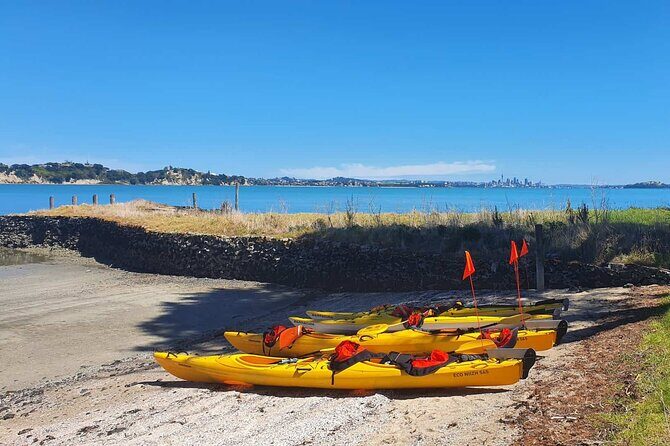 Browns Island Motukorea Sea Kayak Tour - Why Choose Browns Island Sea Kayak Tour?