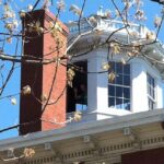 Brunswick: Skolfield-Whittier House Guided Tour - The Itinerary in Detail