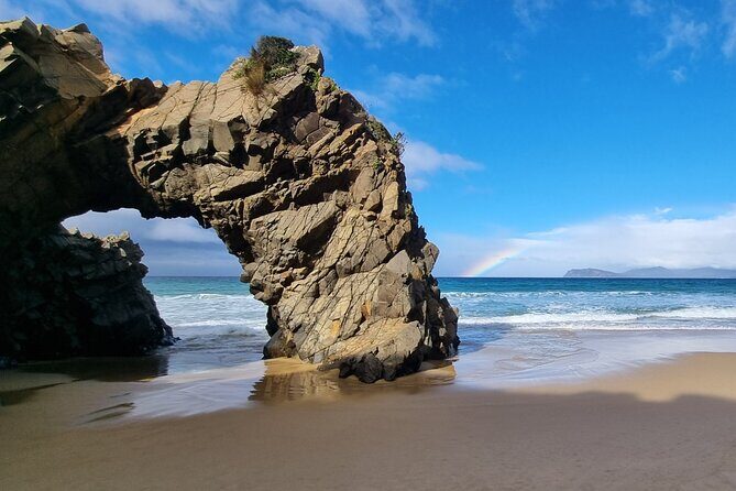 Bruny Island Adventure - Active Day Tour - Who Should Consider This Tour?