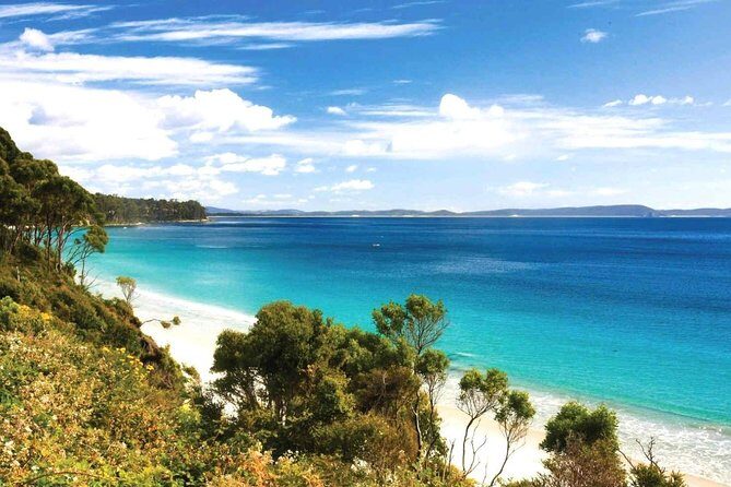 Bruny Island Day Tour Private Charter Service - Itinerary Breakdown: What to Expect