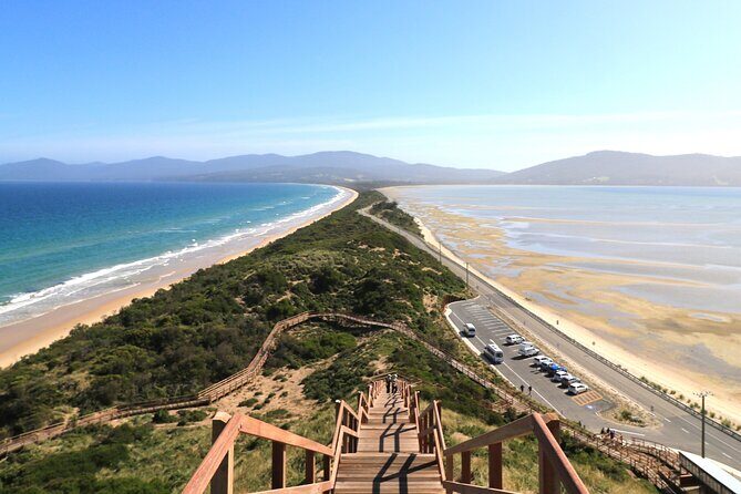 Bruny Island Small-Group Guided Tour From Hobart - The Value of the Experience
