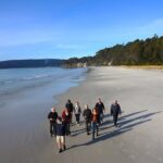 Bruny Island Traveller - Gourmet Tasting and Sightseeing Day Trip from Hobart - Authentic Experiences from Reviews