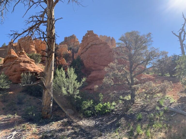 Bryce Canyon City: Horseback Riding Tour in Red Canyon - Who Will Enjoy This Tour?