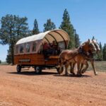 Bryce Canyon City: Wagon Ride to the Rim of Bryce Canyon - Examining the Value