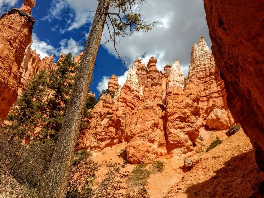 Bryce Canyon National Park Hiking Experience - The Itinerary: What You Can Expect