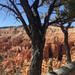 Bryce Canyon Private Tour - A Deep Dive into the Bryce Canyon Private Tour