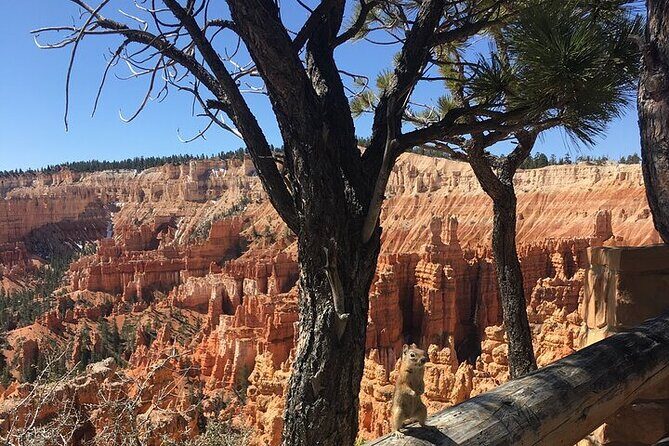 Bryce Canyon Private Tour - A Deep Dive into the Bryce Canyon Private Tour