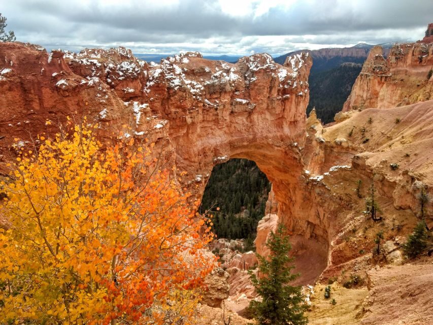 Bryce: Guided Sightseeing Tour of Bryce Canyon National Park - Who Will Love This Tour?