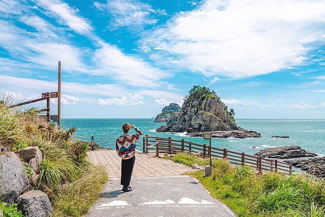 BTS Landmarks Private Car Tour in Busan with a Licensed Guide - Why Past Travelers Are Thrilled