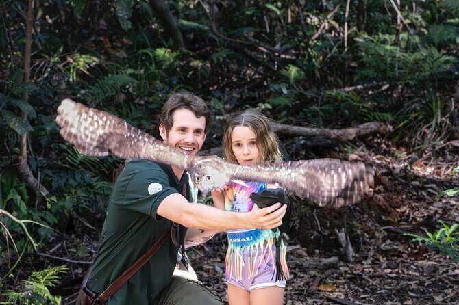 Buderim Forest Flight Owl Encounter and Tour - The Authenticity and What Travelers Love