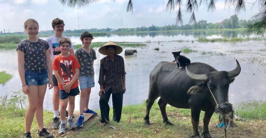 Buffalo Riding, Basket Boat and Cooking Class: Hoian/Da Nang - The Value and Practical Aspects