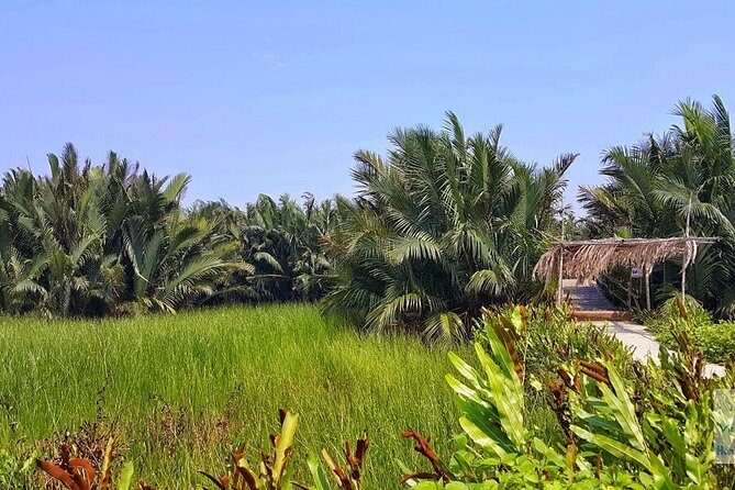 Buffalo Riding, Basket Boat Tour And Cooking Class - FAQs