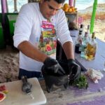Buggy tour of the bars of Cozumel, Mexico - In The Sum Up: A Colorful, Authentic Cozumel Experience