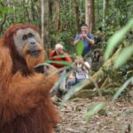 Bukit lawang tour 3days-2 night jungle trekking including rafting - Day 3: Choice & Departure – Short Trek or River Rafting