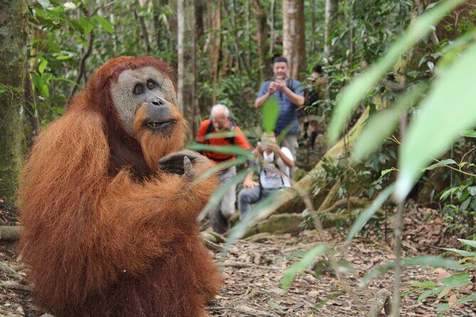 Bukit lawang tour 3days-2 night jungle trekking including rafting - Day 3: Choice & Departure – Short Trek or River Rafting