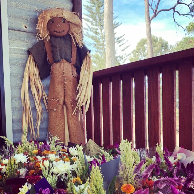 Bundaberg: Family-Friendly Entry Ticket to Splitters Farm - Who Should Consider This Tour?