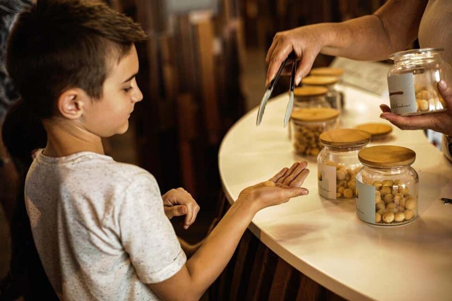 Bundaberg: Macadamia Orchard Tour - The Value and Experience