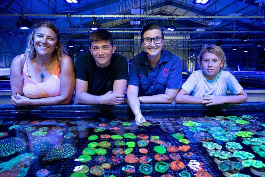 Bundaberg: Monsoon Aquatics Coral Farm Guided Tour - Who Should Consider This Tour?