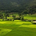 Bungamati and Khokana Village Half-Day Tour from Kathmandu - Why This Tour Offers Great Value