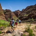 Bungle Bungle Scenic Flights, Domes & Cathedral Gorge Walk - The Practicalities: Transportation, Duration, and Group Size