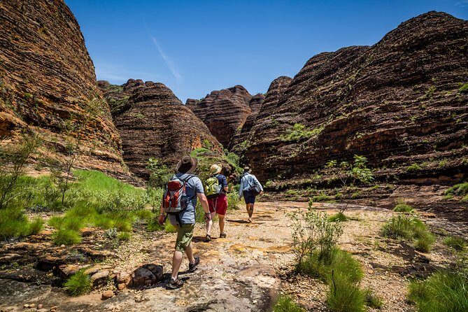 Bungle Bungle Scenic Flights, Domes & Cathedral Gorge Walk - The Practicalities: Transportation, Duration, and Group Size