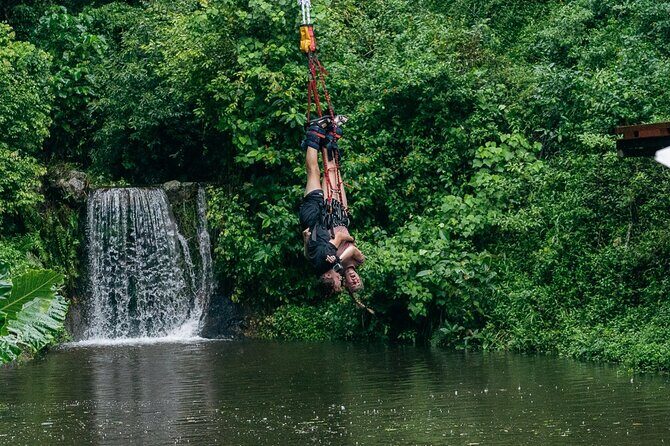 Bungy Jump Experience at Skypark Cairns by AJ Hackett - The Experience of a Lifetime, or at Least a Day