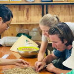 Buon Ma Thuot: Bean to Brew Coffee Farm Tour with Tasting - The Harvesting and Processing Techniques