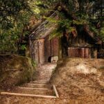 Buried Village of Te Wairoa - The Experience’s Strengths and Caveats