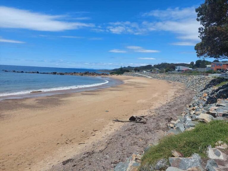 Burnie Attractions Bus - FAQs