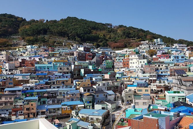Busan city tour from Seoul by KTX bullet train - Authenticity and Value