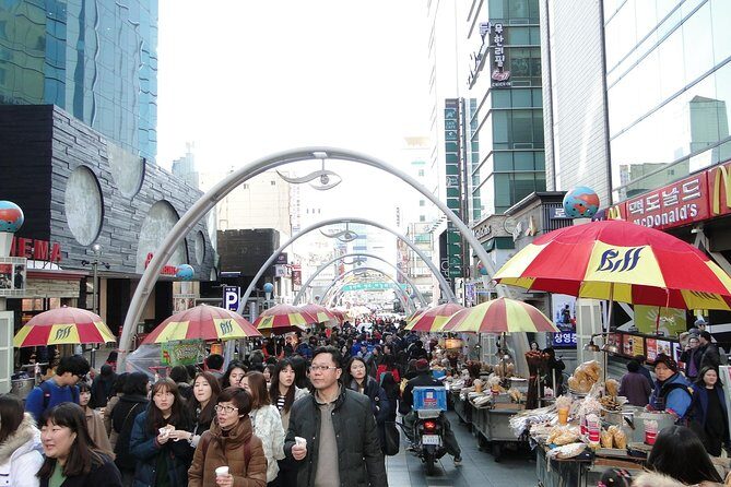 Busan City Tour Including Gamcheon Culture village and Haedong Yonggungsa Temple - Who Should Consider This Tour?